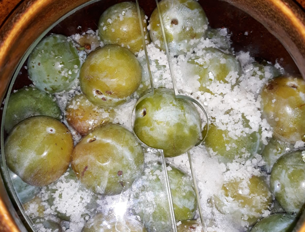 Cómo hacer Umeboshi en casa | Mundo Bacteriano